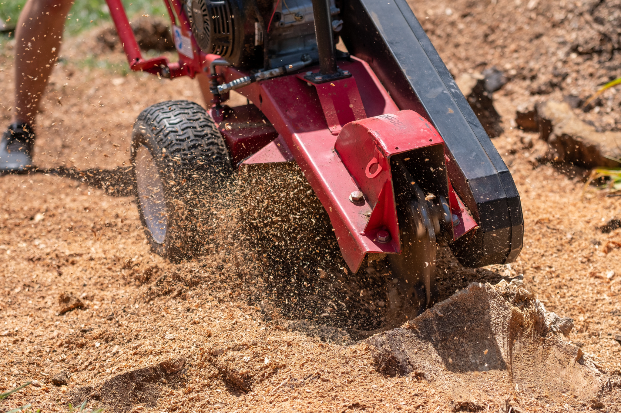 STUMP GRINDING SUNSHINE COAST - Branching Out Tree Services | Tree ...